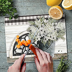 CounterArt Vintage Farmhouse 3mm Heat Tolerant Tempered Glass Cutting Board 10” x 8” Manufactured in the USA Dishwasher Safe