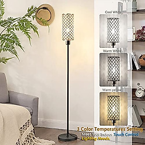 Assemer Touch Crystal Floor Lamp,Modern Sliver Standing Lamps with 3 CCT LED Bulb,Tall Pole Accent Lighting for Living Room,Girl Bedroom,Home Decor,Office