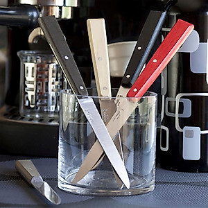 OPINEL Set of 4 table knives N°125 Bon Appetit Celeste