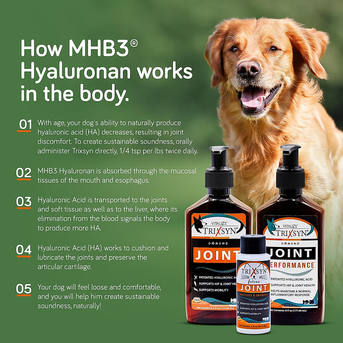 TRIXSYN Canine - All Natural Hip and Joint Care for Dogs- Enhance Joint Mobility and Cartilage Function - Live Healthier and Happier- Patented MHB3 Hylauronan Liquid Formula