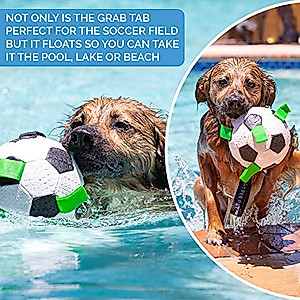 Hyper Pet The Original Quality Grab Tabs Dog Soccer Ball & Dog Football (Indoor-Outdoor Interactive Dog Toy Dog Balls with Easy Grab Tabs) Fun Dog Tug Toy and Dog Ball - 7.5"