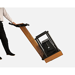 LifetimeVibe Whole Body Vibration Plate, Vibration Machine for Exercise, Athletes, Seniors, Chiropractors