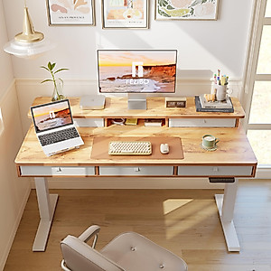 FEZIBO Height Adjustable Electric Standing Desk with 5 Drawers, 48 x 24 Inch Table with Storage Shelf, Sit Stand Desk White Frame/Light Rustic Top, 48 inch