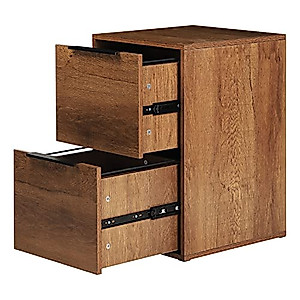 LUCYPAL Wooden File Cabinet 2 Drawer,Vertical Storage Filing Cabinet with Hanging Bars for Letter Size,File Storage Cabinet Used for Home Office, Brown