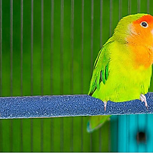 5pcs Grinding Budgies Wooden Parakeets Hanging Stand Conure Food Accessories Cage Cockatiel Balance Bird Climbing Standing for Parakeet Bowl Birdcage Toy: Bite Cockatiels Natural