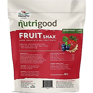 Nutrigood FruitSnax Horse Treats | Tasty Horse Treats Packed with Superfoods and Real Fruit Pieces | BerryMint + Oats Flavor | 2 Pounds