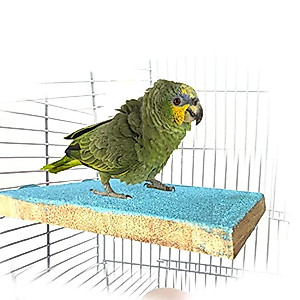 Litewoo Bird Perch Grinding Stand for Bird Parrot Budgie Parakeet Cockatiel Conure Lovebird Finch（5.1" x 3.5"）
