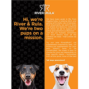 Horbäach L-Lysine Powder for Cats 500mg | 12oz | Cat Health Supplement | Non-GMO, Vegetarian Formula | by River & RULA