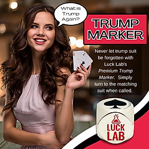 Luck Lab Premium Trump Marker/Indicator - for use with Euchre, Pinochle, Bridge and More - Comes with Black Velvet Storage Bag. (Silver)