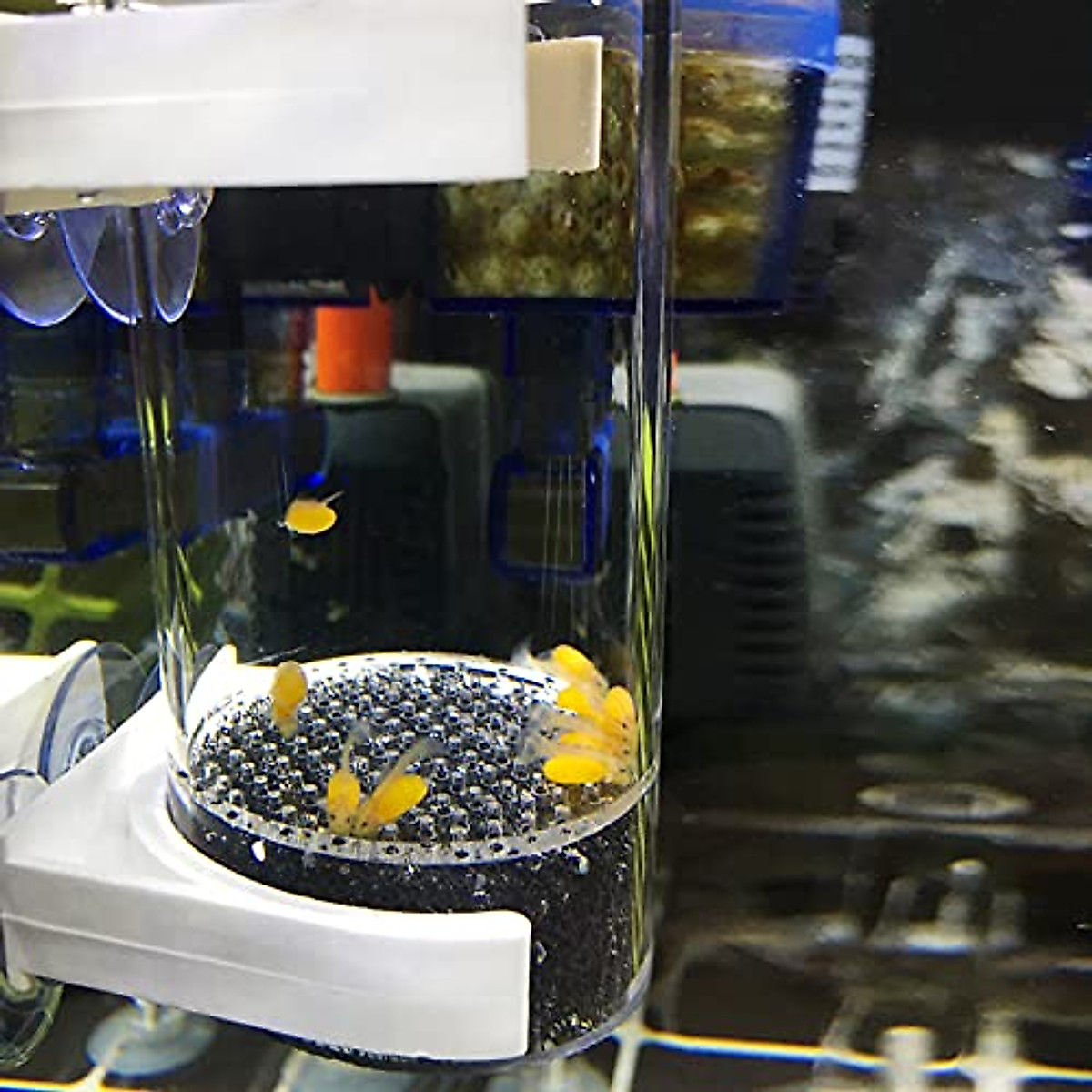 WEAVERBIRD 40mm Fish Hatchery Incubator, Aquarium Cichlids Fish Egg Incubator Tumbler Fish Hatchery Breeding for Fish Tank