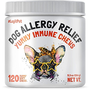 LEGITPET Allergy Relief Chews for Dogs & Immune Support with Kelp, Colostrum & Bee Pollen 120 Soft Chews and Probiotics for Dogs with Natural Digestive Enzymes 120 Soft Chews Bundle - Made in USA