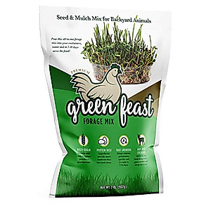 Amturf Green Feast Forage Mix, Brown,2 Lb Bag, 36018S