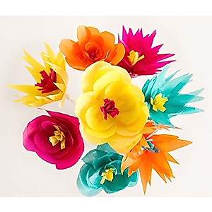 American Greetings White Tissue Paper (15-Sheets)