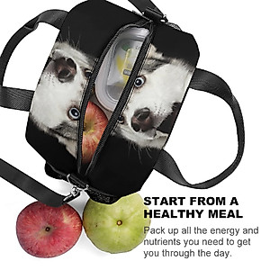 Lunch Box Women Boys Girls Funny Husky Dog Lunch Bag Insulated Thermos Tote with Water Bottle Holder & Removable Shoulder Strap for Back to School Travel Work