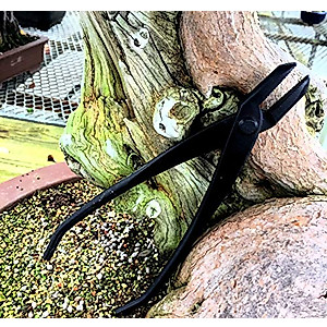 Tinyroots Heavy Duty Carbon Steel Jin Pliers. Perfect for Jin, and Also Great for Applying or Removing Bonsai Wire. 210 mm…