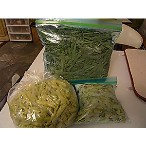 Lemongrass Rootstalk (Cymbopogon Citratus) 2 Live Plants