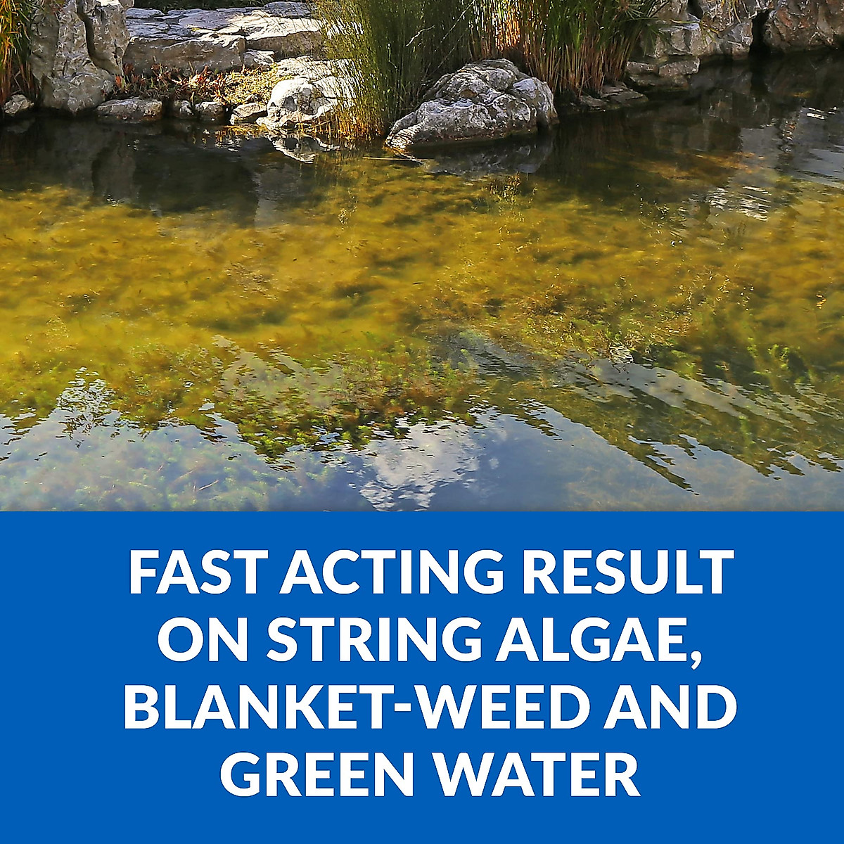 CrystalClear Algae D-Solv Pond Algae Control, Fast-Acting EPA Registered Algaecide, Use in Fountains & Outdoor Ponds Containing Koi & Other Fish, Treats 5,760 Gallons, 16 Ounces