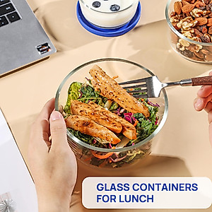 Vtopmart 4 Pack Glass Bowls with Lids (1, 2, 4, 7 Cup), Food Storage Containers, Meal Prep and Leftovers Keeper, Lunch Container, Microwave, Dishwasher & Freezer Safe