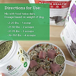 Dr. Harvey's Herbal Multi-Vitamin and Mineral Supplement for Dogs (7 Ounces)
