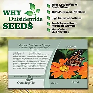 Outsidepride Orange Tithonia Mexican Sunflower Garden Cut Flower Plant - 500 Seeds