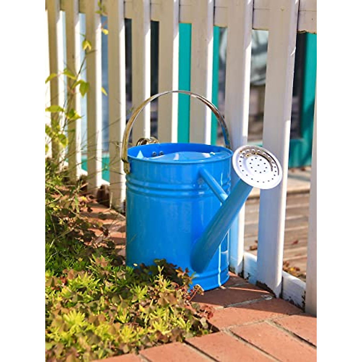Joequality Watering Can for Outdoor&Indoor Plants，Galvanized Steel Watering Can with Stainless Steel Handles，1 Gallon Metal Plant Watering Pot Gardening Tools，Blue