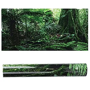 Yuehuam Fish Tank Background PVC 3D Aquarium Rainforest Background Poster Fish Tank Wall Picture Painting Decoration Self Adhesive Sticker for Reptile Box(Various Sizes)