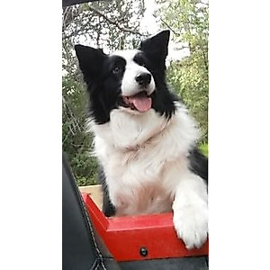 Calm & Happy Hemp Pet Treats Chicken & Bacon-Supports Muscle&Joints-Inflammation-Mood Support-Digestive-Support-Restful Sleep-Calming-Made with Hemp Seed Oil-pet Support (15 Count, 1.3, Ounce)