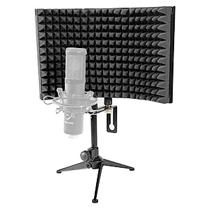 Warm Audio WA-87 R2 Nickel FET Condenser Microphone Recording Mic+AKG Headphones
