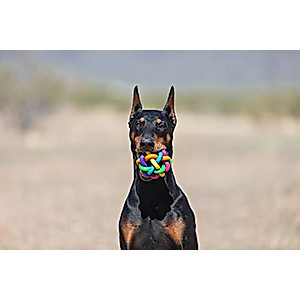 Multi Pet Nobbly Wobbly Dog Rubber Ball-Medium, for Small breeds