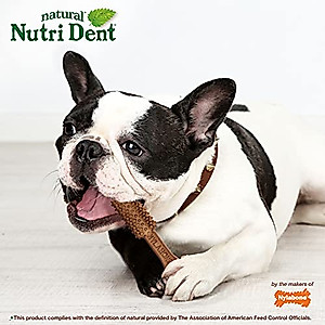 Nylabone Nutri Dent Dog Dental Treats - Natural Dog Teeth Cleaning & Breath Freshener - Dental Treats for Dogs - Filet Mignon Flavor, Medium (40 Count)