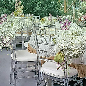FOH FOHFurniture Set of 4 Acrylic Chiavari Chairs, Modern Clear Ghost Dining Chair, Crystal Transparent Seat, Plastic Shell Accent Side Chairs for Wedding Party Event Reception