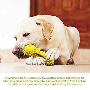 Durable Squeaky Dog Toys for Aggressive Chewers, Tough Rubber Dental Chew Dog Toys for Large Medium Small Breed (Color : Blue)