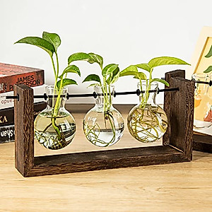 Yangbaga Plant Propagation Stations Terrarium Glass Planter with Wooden Stand 3 Bulb Vases for Hydroponics Indoor Office Desk Home Decor, Plant Holder Gifts