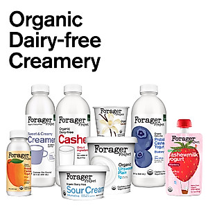 Forager Project Cashewmilk Yogurt, Strawberry, 5.3-Ounce