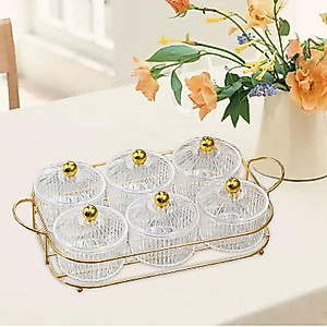 Light Luxury Nut and Candy Serving Tray Serving Container with Holder Food Storage Preserved Tray Dried Fruit Salad Plate for Candies Picnic, Clear 6 Bowls