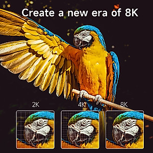 HDMI Cable 2.1 4K@120Hz Certification 48Gbps 15 Feet,Ultra High Speed 8K HDMI Cable Nylon Gold-plated interface Supports 1440p 144hz HDMI,8K@60Hz,ALLM,VRR,HDR,eARC,DTS,For PS5,XBox,RTX3090(15 Feet)