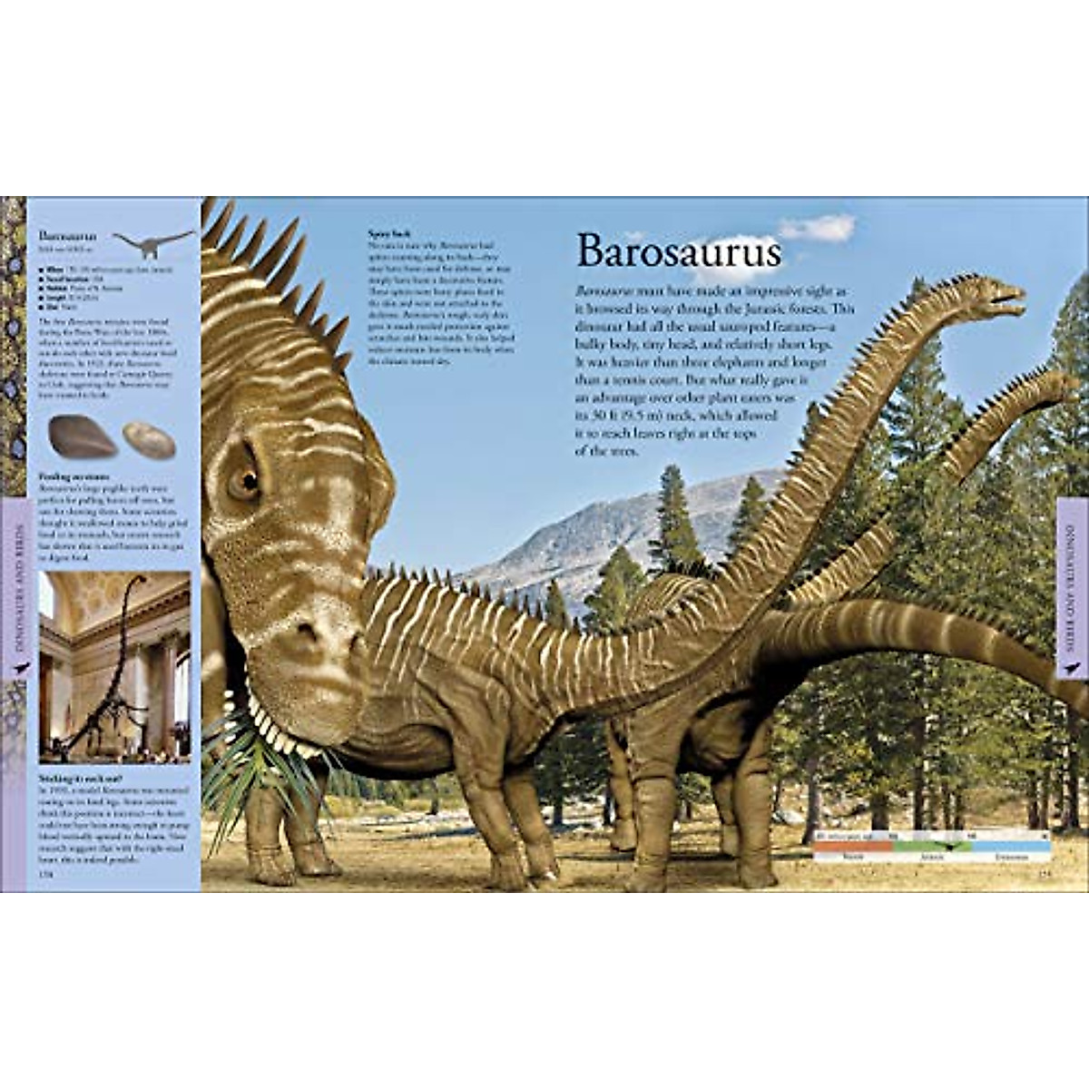 Dinosaurs: A Visual Encyclopedia, 2nd Edition (DK Children's Visual Encyclopedias)