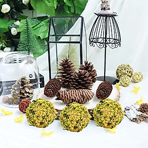 BYHER Natural Preserved Moss Hanging Ball Vase Bowl Filler for Garden, Wedding, Party Decoration (3.5"(6 Pack), Green)