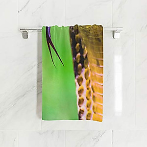ALAZA Microfiber Gym Towel King Cobra Snake, Fast Drying Sports Fitness Sweat Facial Washcloth 15 x 30 inch