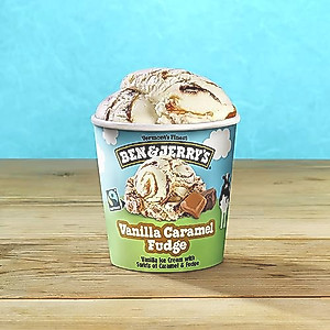 Ben & Jerry's Vanilla Caramel Fudge Ice Cream Pint Non-GMO 16 oz