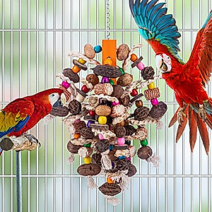 Deloky Large Parrot Bird Chewing Toys-Natural Nuts Corn Parrot Tearing Toy-Wooden Bird Cage Toy for African Grey,Macaws Cokatoos,Amazon Parrots and Other Large Birds