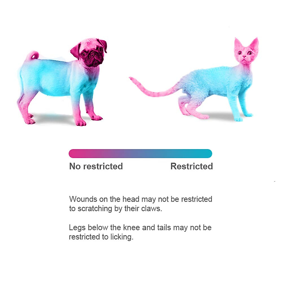 ccypet Pet Adjustable Recovery Collar - Recovery Protective Pet Cone Wound Healing Protective Soft Edge for Pets/Kitten/Cats/Small Dogs