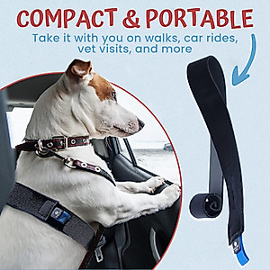 Calmr Dog SettleStrap for Help Calming Anxious & Active Dogs - Canine Pressure Strap for Comfortable & Effective Stress Relief for Dogs - Calming Dog Anxiety Vest - Dog Calming Device, USA Made, 40 in