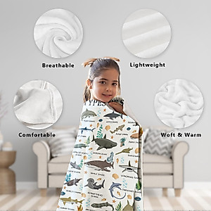 Shark Blanket Shark Gifts for Kids Boys Girls Shark Lovers Types of Sharks Plush Cozy Flannel Cute Animal Educational Throw Sheet 50" X 40" Decor for Couch Daycare Nap Birthday Decorations Bedroom