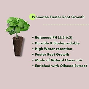 Replacement Grow Sponges 50Pack-PH Balanced Hydroponics Sponges Made of Eco-Friendly Coco Coir Growing Sponge Seed Starter Pods