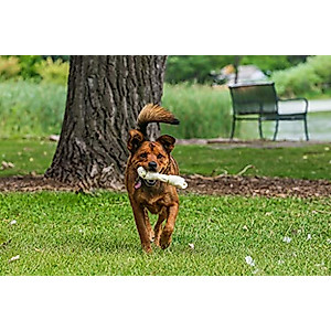 Top Dog Chews - Natural Beef Rawhide Bones (3 Pack), 8"-10" Long-Lasting Dog Bones for Aggressive Chewers, Digestible Dog Treats for Small, Medium & Large Breeds (3 Pack, 3, Count)
