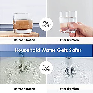Waterdrop Whole House Water Filter System Reduce Iron & Manganese，with Replacement Cartridge & Manganese&Spin Down Sediment Filter