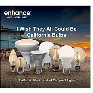 Feit Electric PAR38 LED Bulb, 120W Equivalent, Non Dimmable, 3000k Bright White, 1400 Lumens, 22 Year Lifespan, E26 Base, PAR38 Flood Light Bulb, CRI 90, Damp Rated, 1 Pack, PAR38DM/1400/930CA