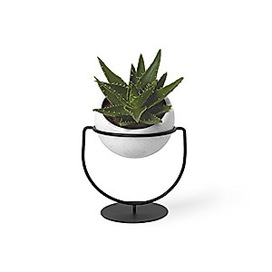 Umbra 1009251-748 Nesta, Table Top or Hanging Modern Planter, Ideal Succulent Plant Holder, White/Black,Single Planter
