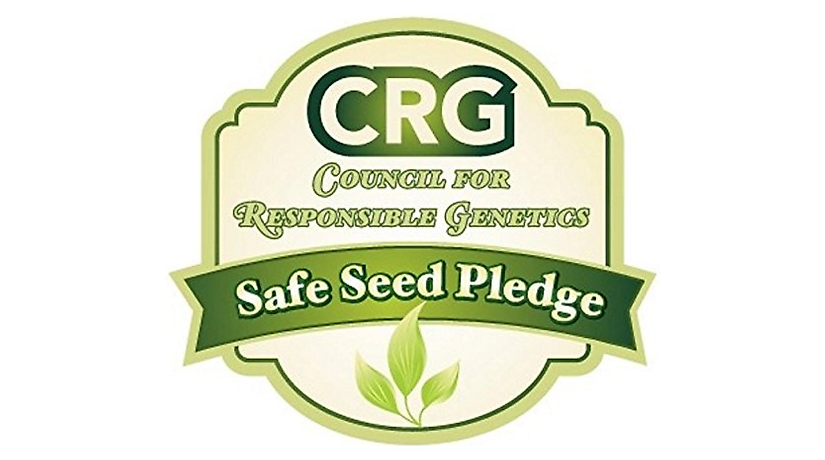 Little Marvel Sweet Dwarf Bush Peas - Easy & Delicious